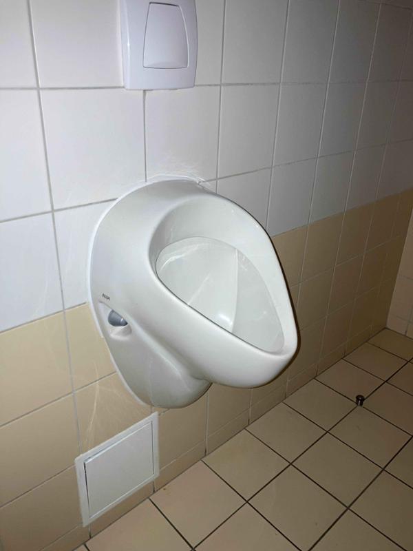 Urinoir - matériaux de récupération